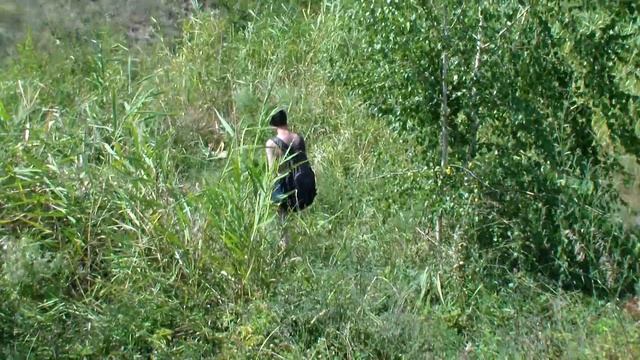 Тест QRPP TX и ANT MFJ у дальнего родника