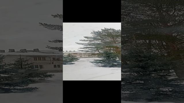 ЭКСКУРСИЯ ДОРОГА ЖИЗНИ ПО ДОРОГЕ ЖИЗНИ БЛОКАДА ЛЕНИНГРАДА ВОВ ВЕЛИКАЯ ОТЕЧЕСТВЕННАЯ ЛАДОГА ЛЕНИНГРАД