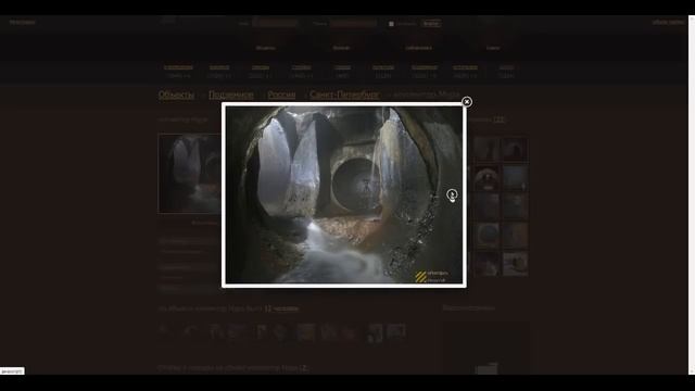 Дима Новоженин. Коллектор "Мура"