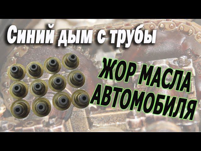 Cиний дым с трубы. Жор масла автомобиля