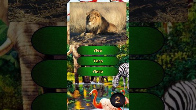 Короткая викторина "Угадай животное по фото" №6 / Тест на эрудицию