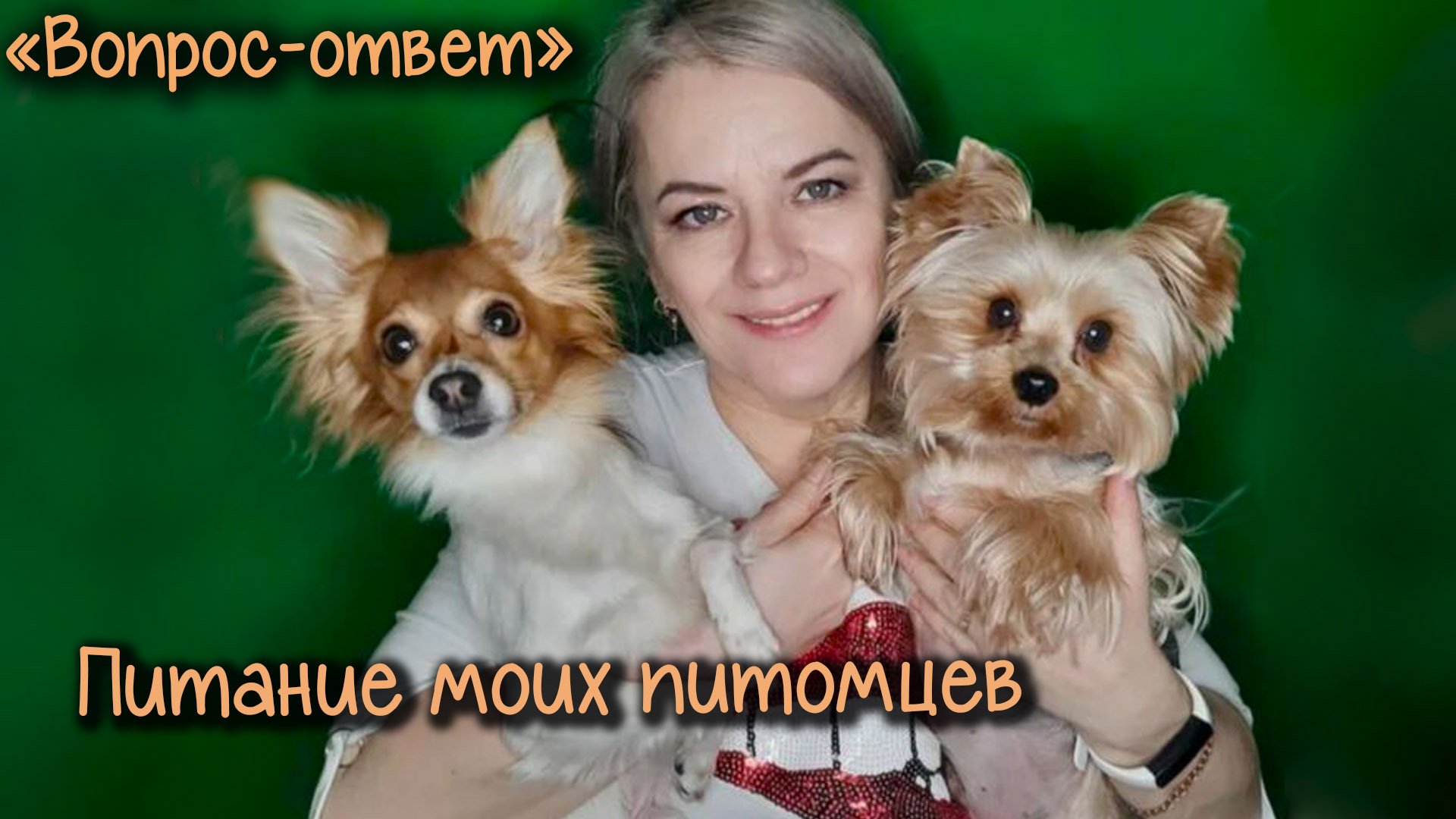 Йоркширский терьер Тоша и Русский той Сёма. Чем кормлю. Вы спрашивали-я отвечаю. Похудела на 60кг!