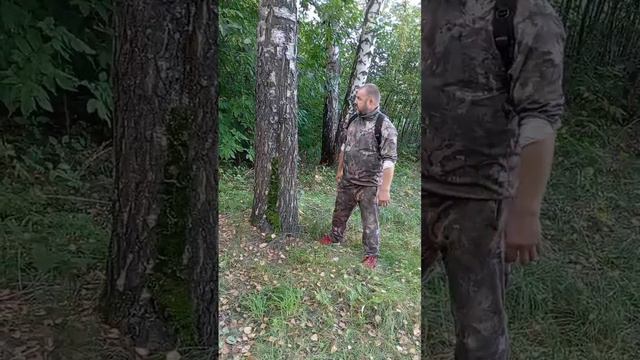 Stikhiya Wing Chun. Набивка в Вин Чунь.