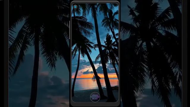 Лето, пляж, пальмы