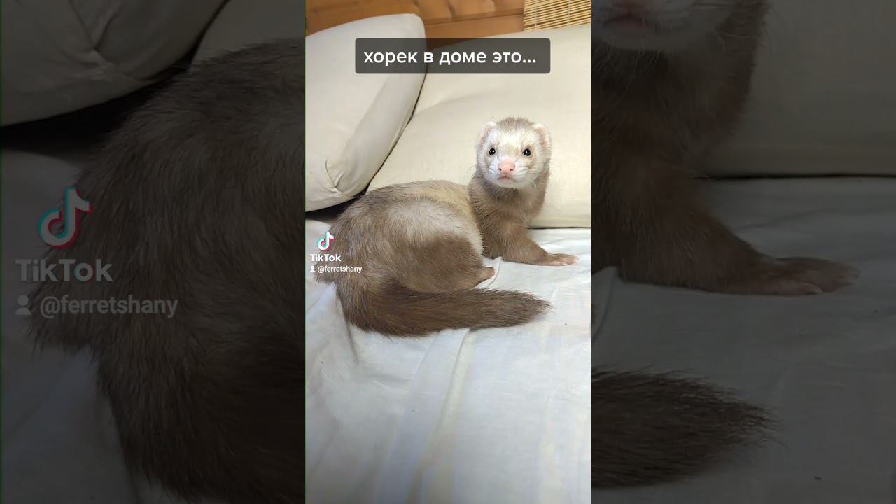 11 января 2022 г.