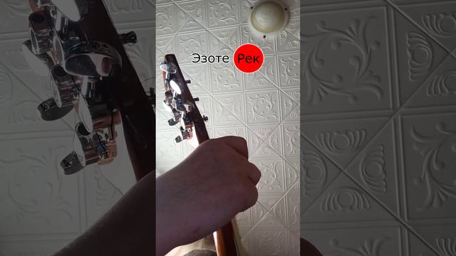 Эмоциональность