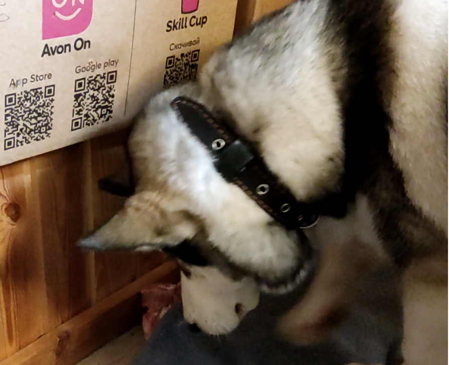 Хаа прячет заначку на ЧЁРНЫЙ ДЕНЬ!.mp4