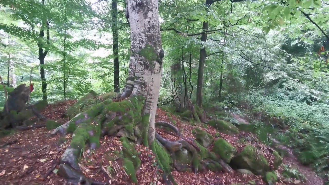 Кудепста: прогулка по Коровьей тропе к храму Николая 2