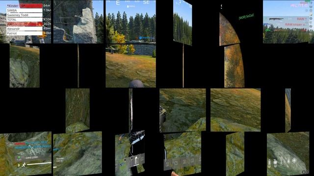 DayZ подборка