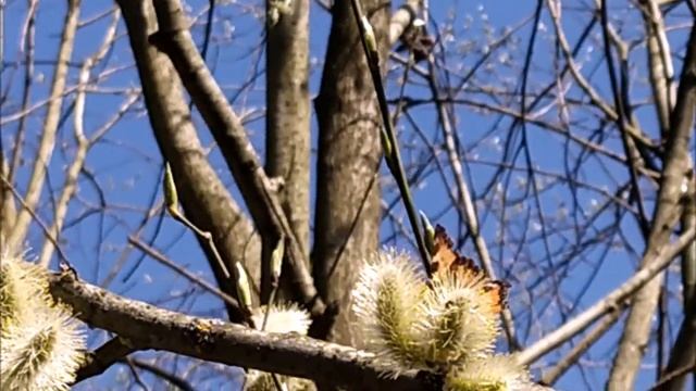 А птицы славят Бога... (Мои стихи о Вечном)