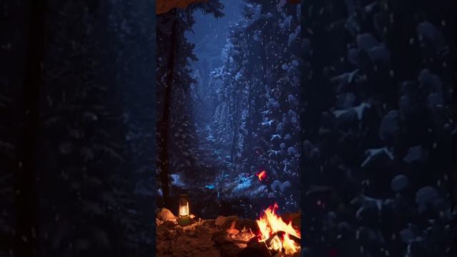 Цель человеческой жизни на земле