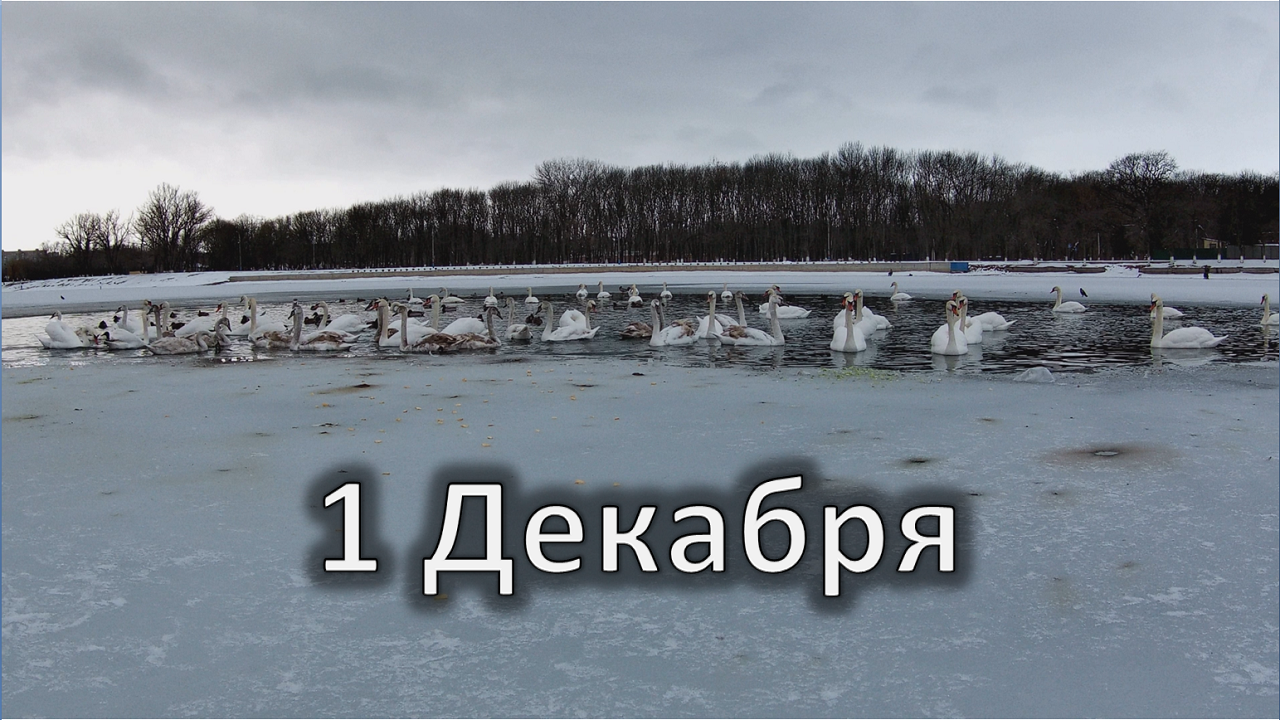 1 декабря