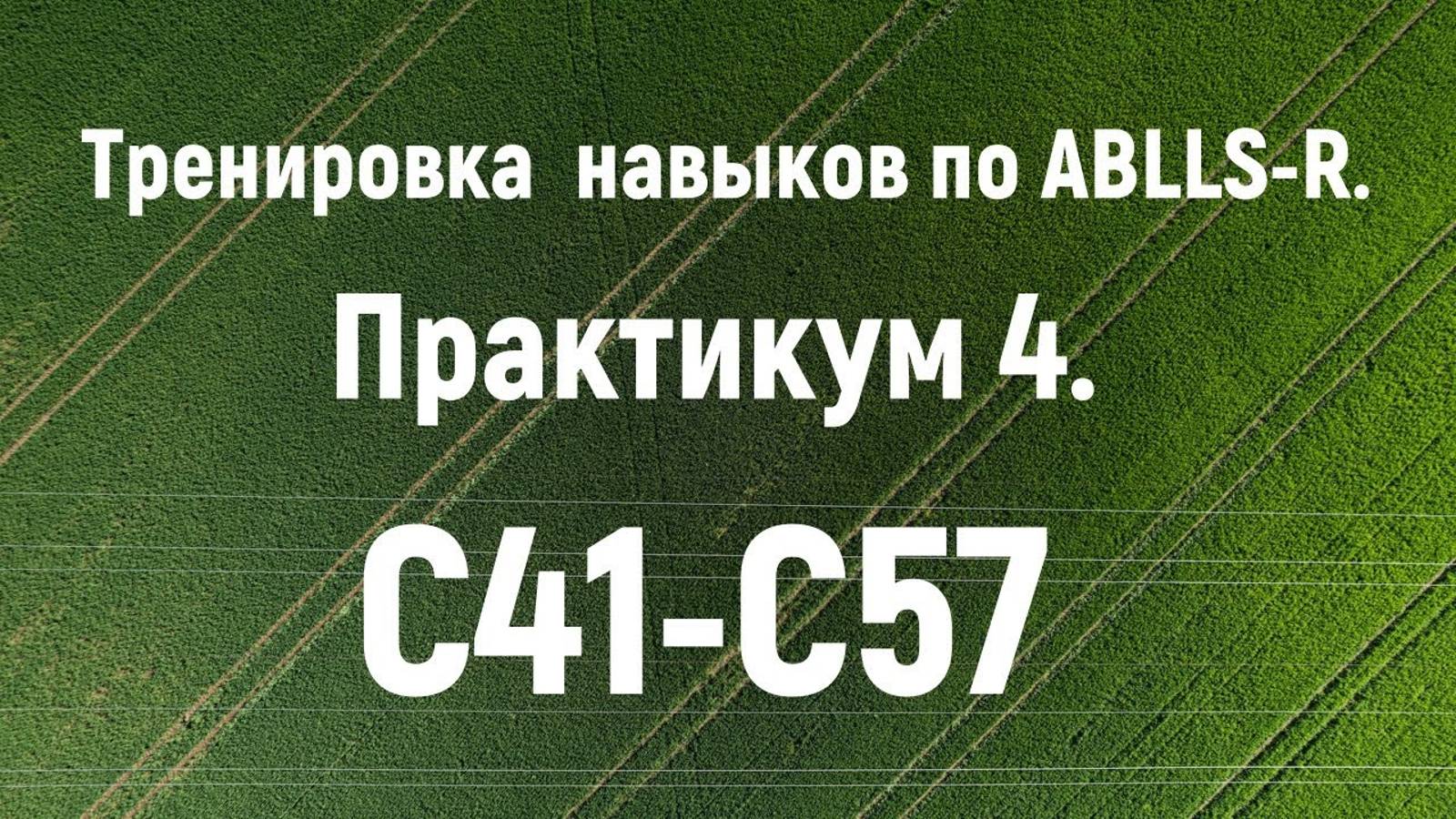 АВА-терапия (Практикум 4): навыки по ABLLS-R (C41-C57).