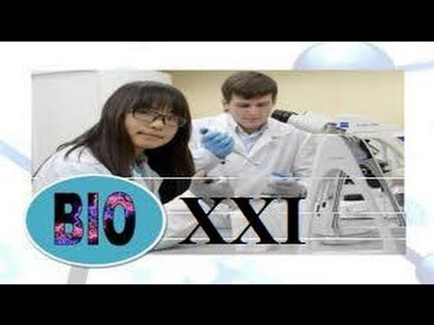 SPF-виварий ИЦиГ СО РАН как уникальный для Российской Федерации инфраструктурный объект