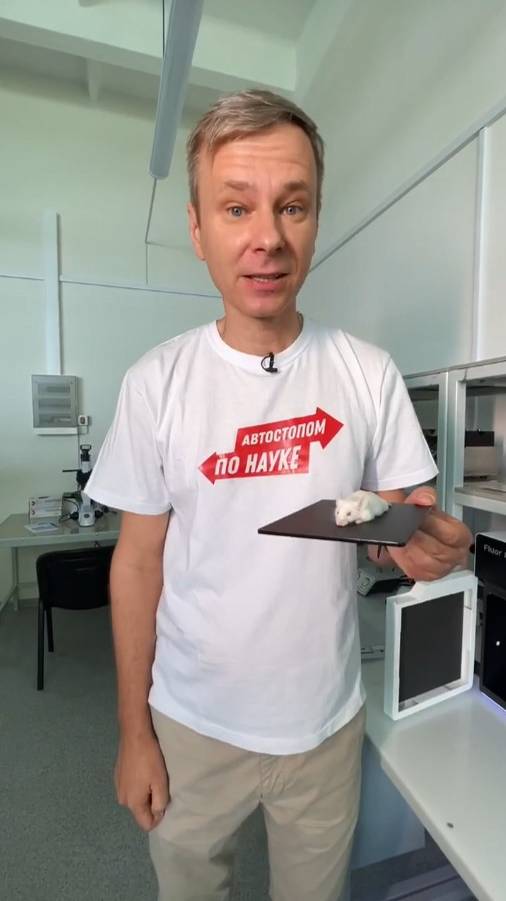 Ты крыса? Да, я крыса! #shorts