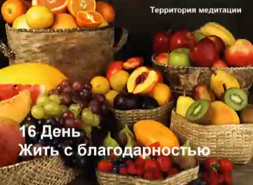 16 День Медитация благодарности