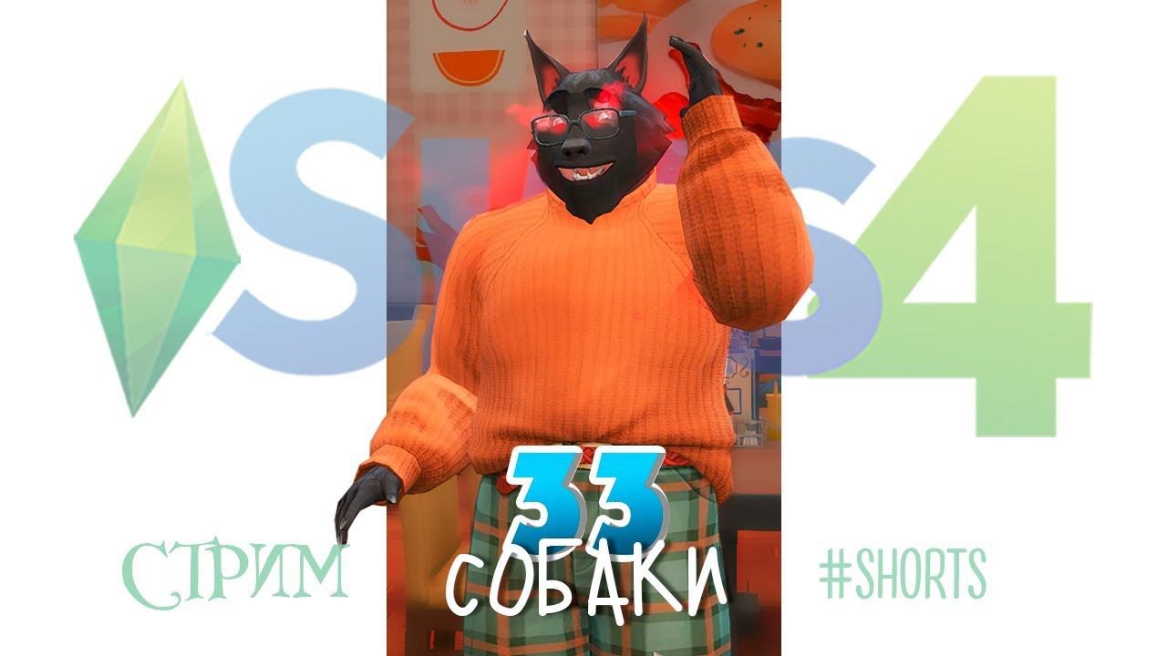 33 СОБАКИ: Стрим. Ep.12 #SimS4 #shorts