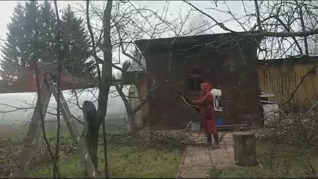 Опрыскивание деревьев Дмитровский район