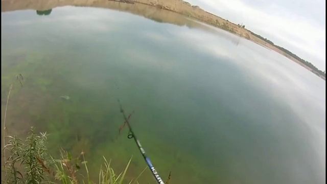 сошла щука в Ленинградской области!