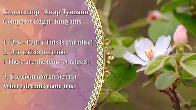 КРАСИВАЯ Музыка для Души. Эдгар ТУНИЯНЦ