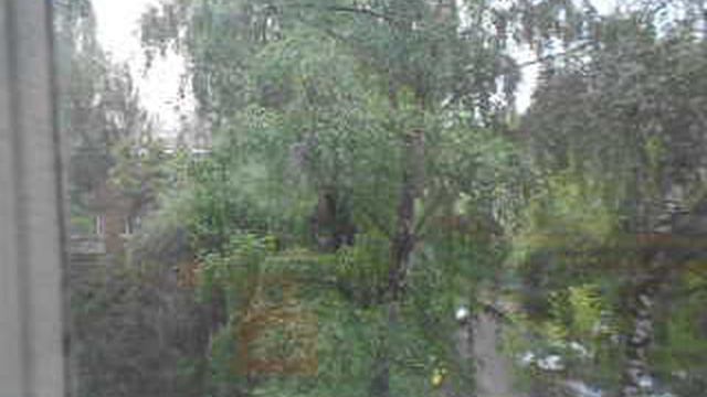 Голос дятла 535435 DSCN5523