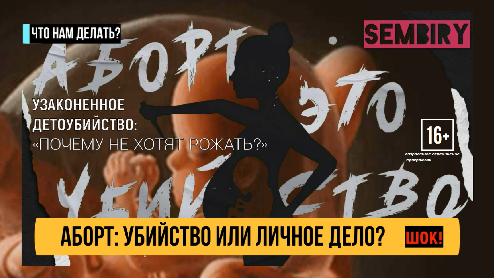 АБОРТ: УБИЙСТВО ИЛИ ЛИЧНОЕ ДЕЛО? УЗАКОНЕННОЕ ДЕТОУБИЙСТВО. ЧТО НАМ ДЕЛАТЬ? Выпуск от 30.10.2023