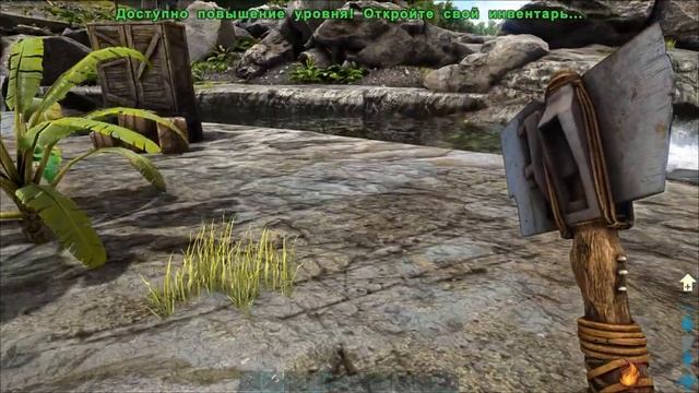 Начало на карте The island