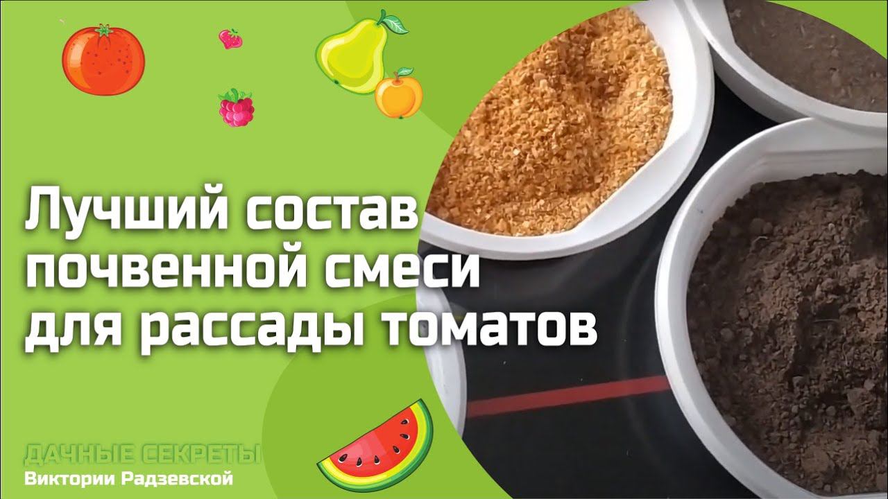 Какая земля подходит для выращивания рассады томатов. Лучший состав почвенной смеси