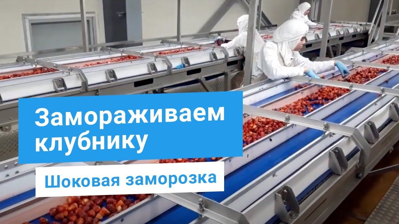 Линия подготовки клубники к шоковой заморозке с помощью туннелей IQF. Барботажная и щеточная мойки.
