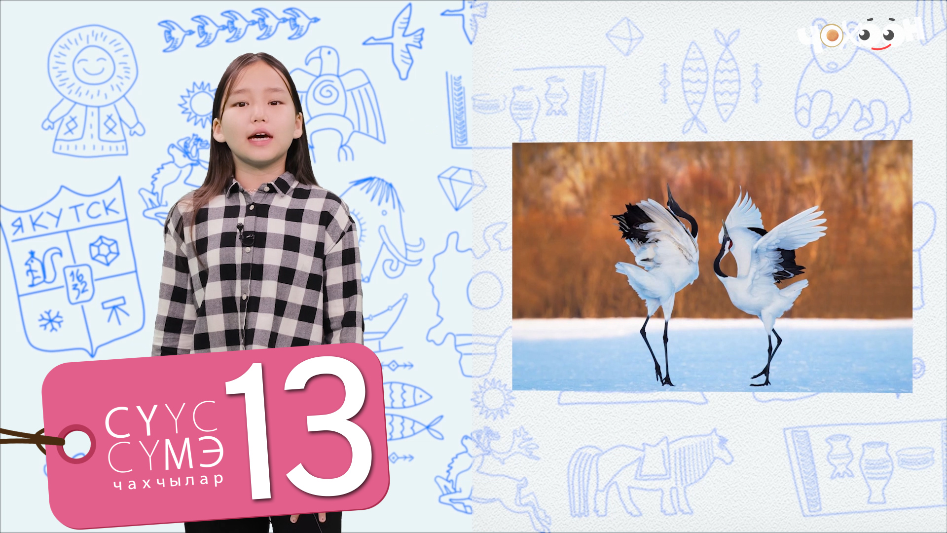 Кыталык дьол көтөрө | Cүүс сүмэ чахчылар