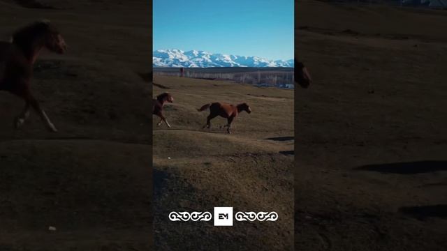 СЫРҒАЛЫМ | ESEN MEDIA