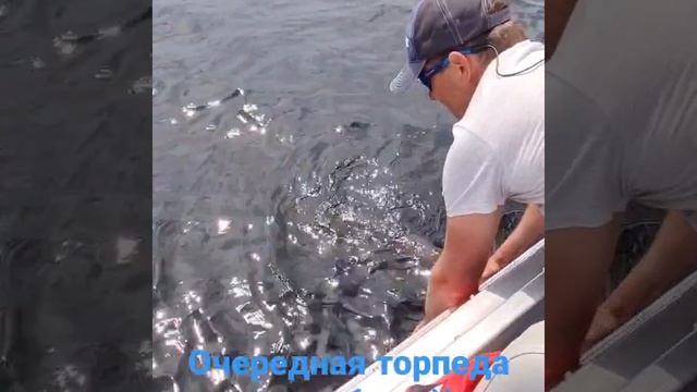 Рыбалкасгидом на щуку