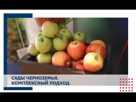 Сады Черноземья. Комплексный подход/Плодоводство