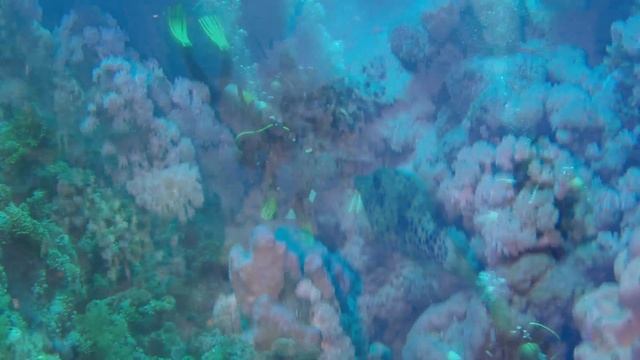 Египет май 2015 года..mp4