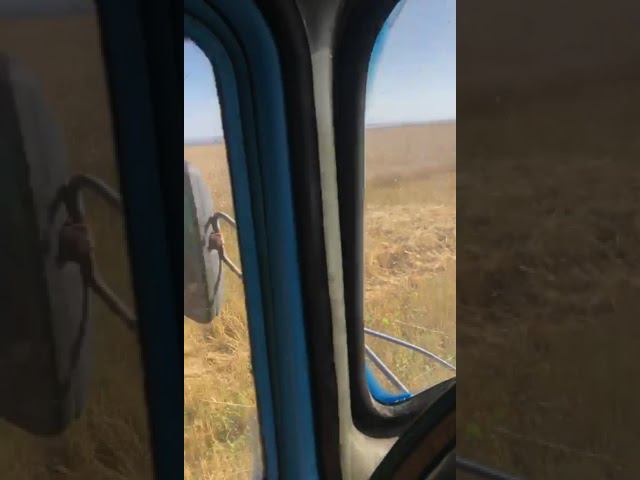 Уборка урожая