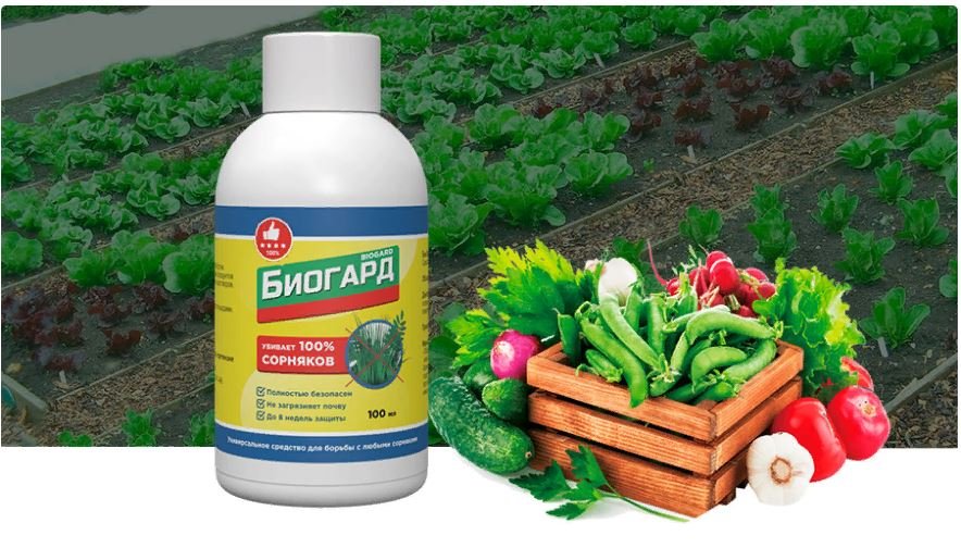 Биогард — уникальный биопестицид. Уничтожает все виды сорняков.