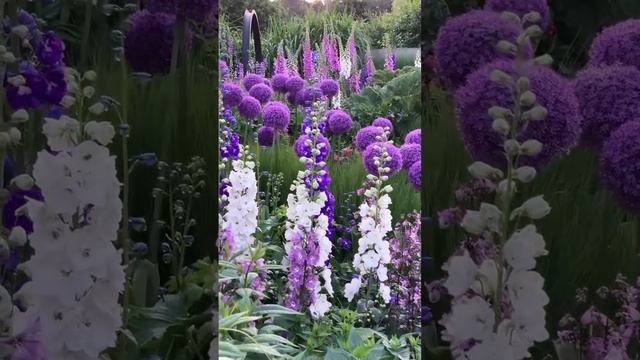 Удивительно красиво