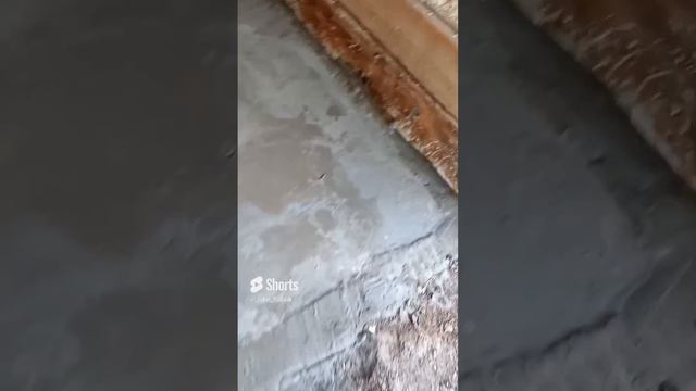 Проект "Баня". Залил стяжку в парилке.