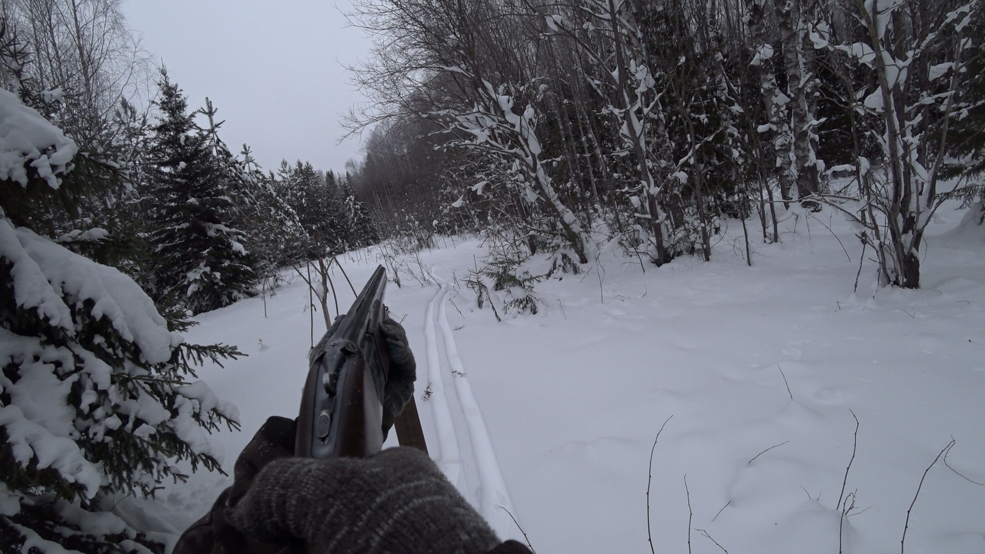 Дал МАХУ! Торопыга, многоследица, заяц уходит