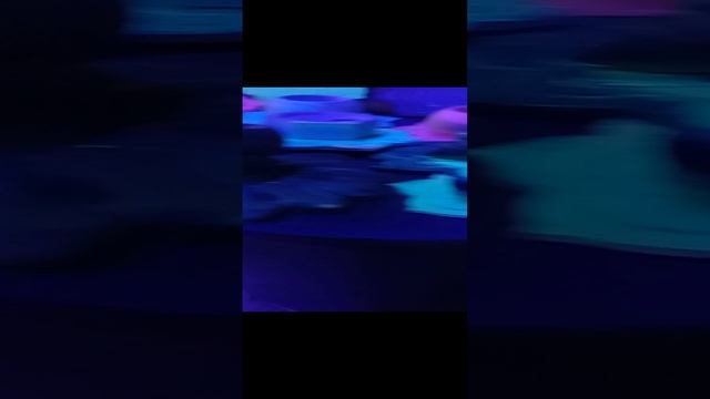 интерактивная выставка Моя Россия Роза Хутор Адлер Сочи