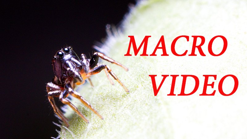 Макро видео