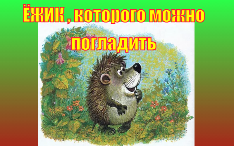 Ёжик , которого можно погладить. Сказка. М.С.Пляцковский