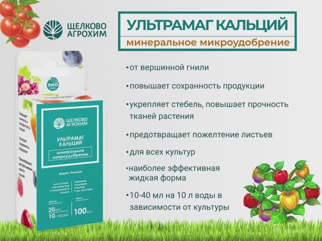 Избавляемся от вершинной гнили и увеличиваем количество завязей