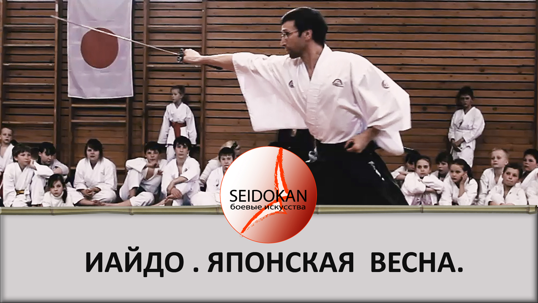 Показательные выступления на открытии фестиваля "Японская весна" в ШВСМ