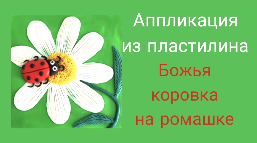 Аппликация из пластилина * Божья коровка на ромашке*.