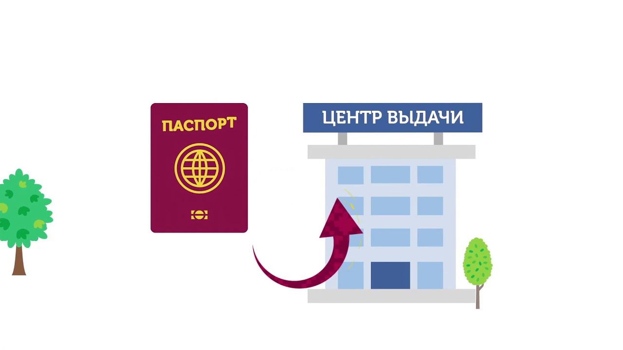 Паспорт болельщика