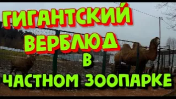 База отдыха ТРОИЦКОЕ. Частный ЗООПАРК