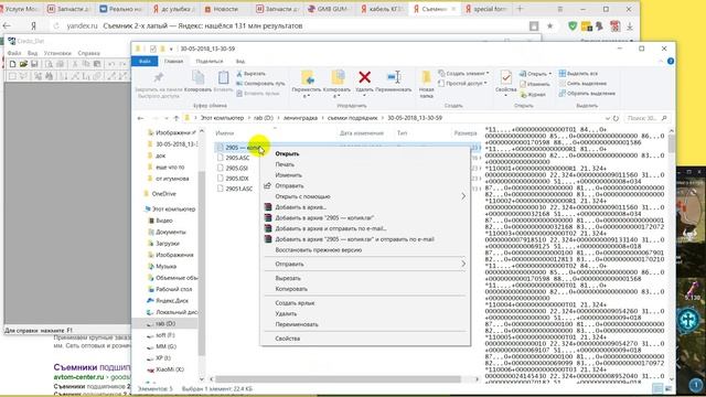special form Леня импорт с лейки.wmv