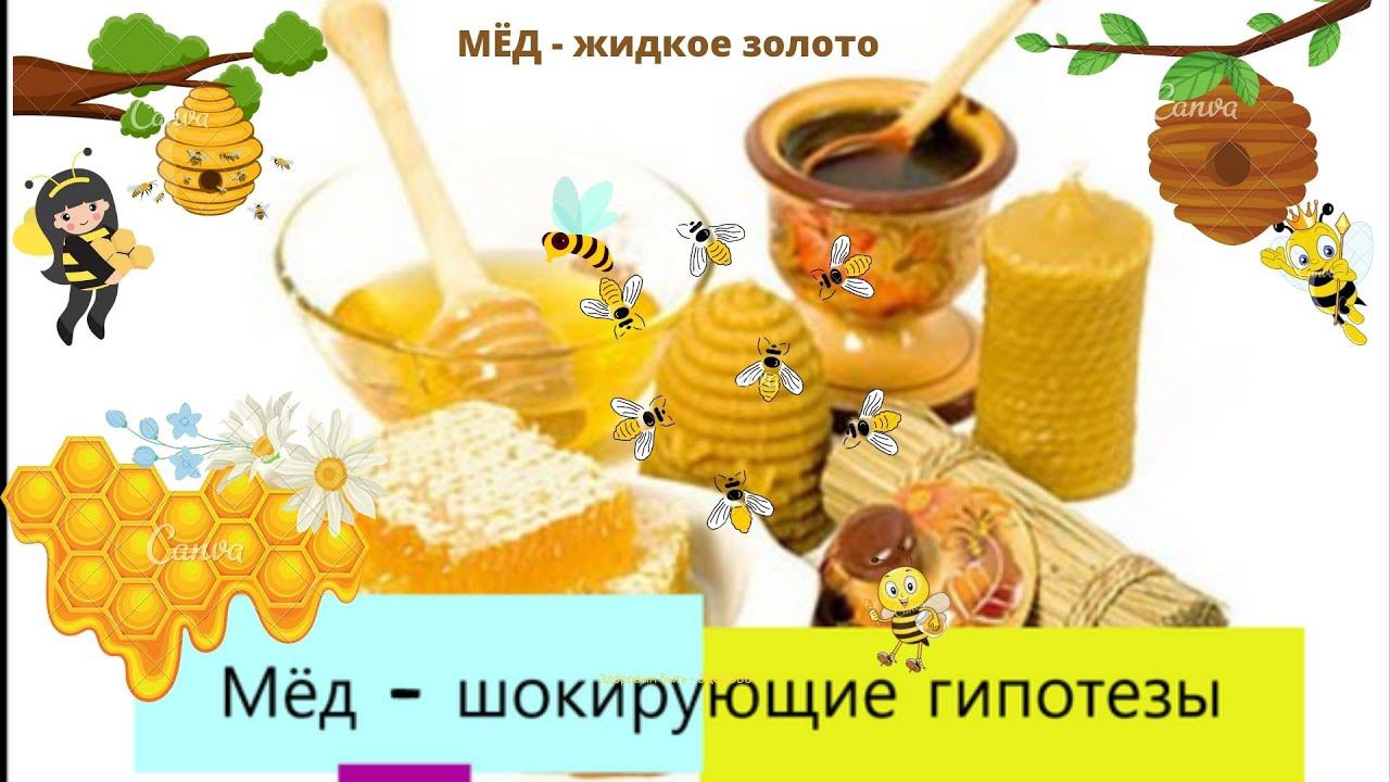 Мёд - шокирующие гипотезы. #пчелопродукты #мёд