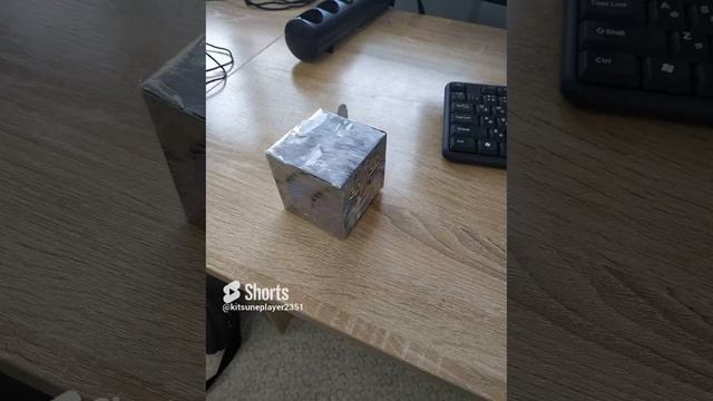 Квадратный котик-Манул